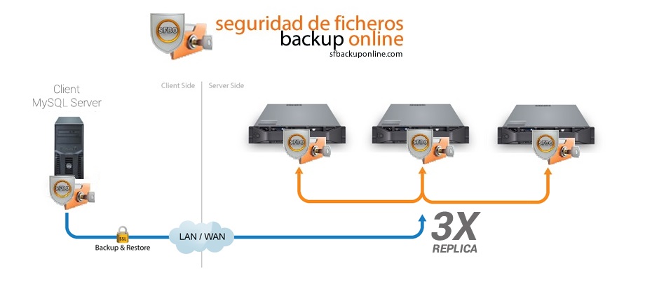 MySQL Database - SFBO - Seguridad de ficheros BackupOnline